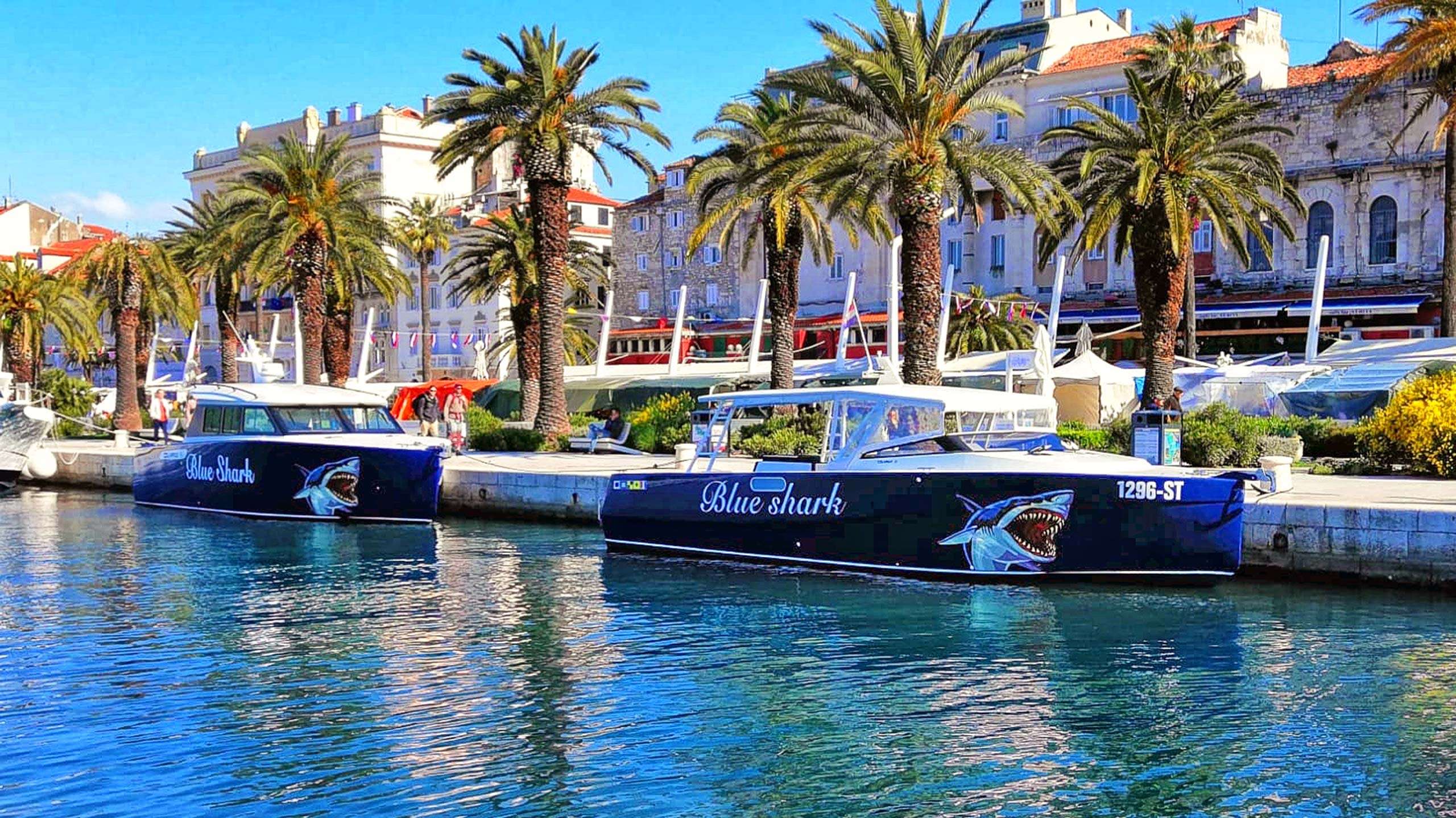 Boat Tours-Blue-Shark-Boat-Tours-&-Transfers-Split-riva - JetBlack